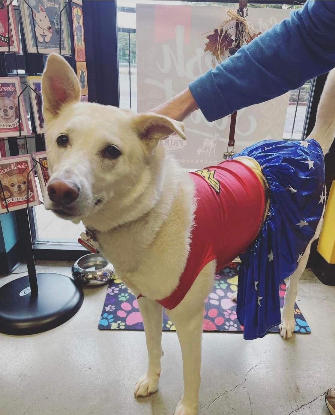 Daisy's Story