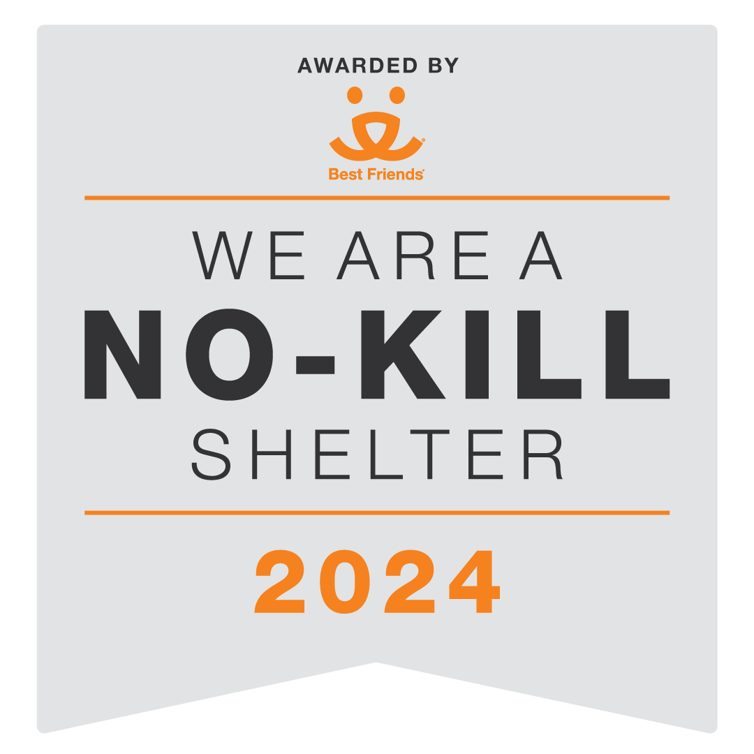 PAWS Atlanta: A No-Kill Animal Shelter in Metro Atlanta