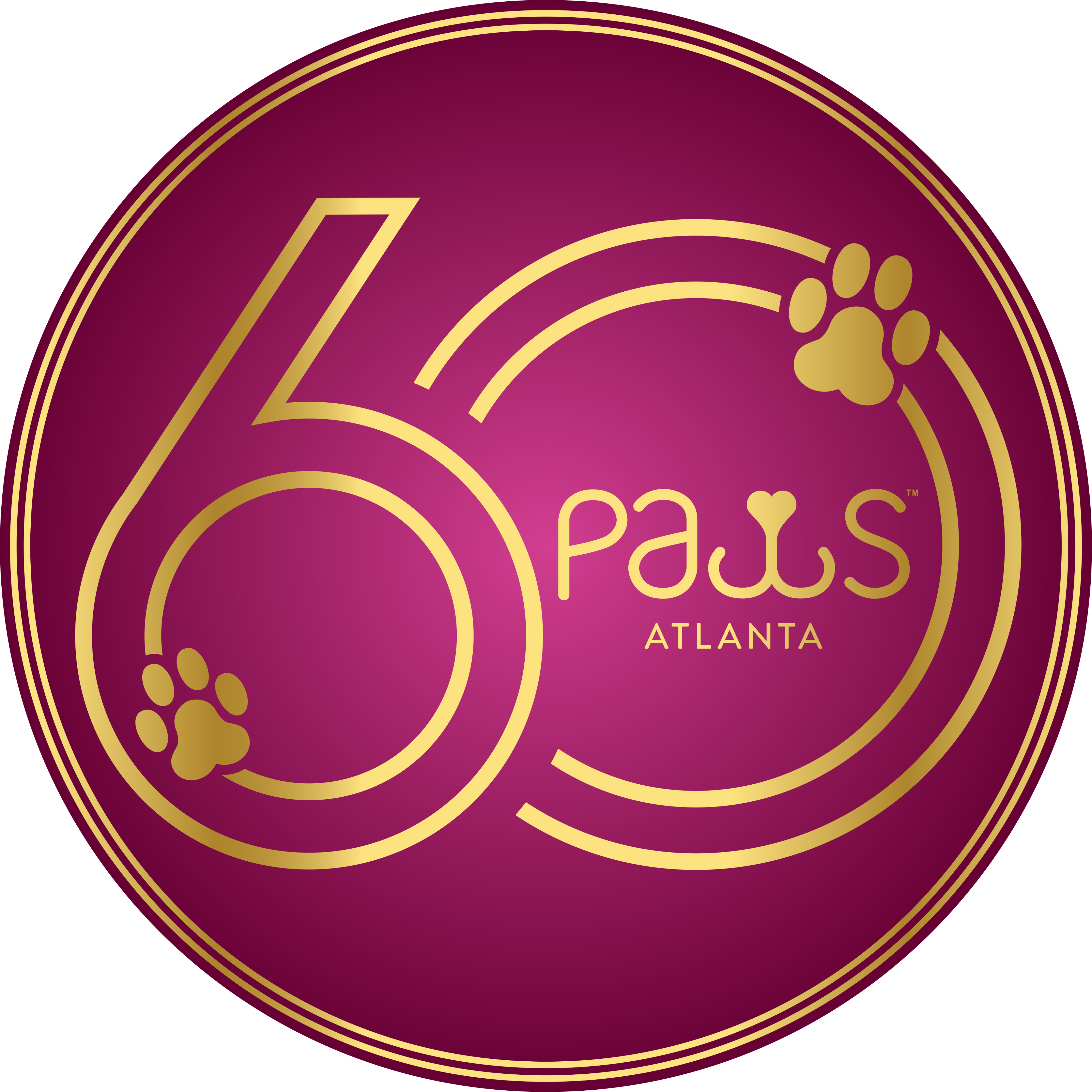 PAWS Atlanta: A No-Kill Animal Shelter in Metro Atlanta